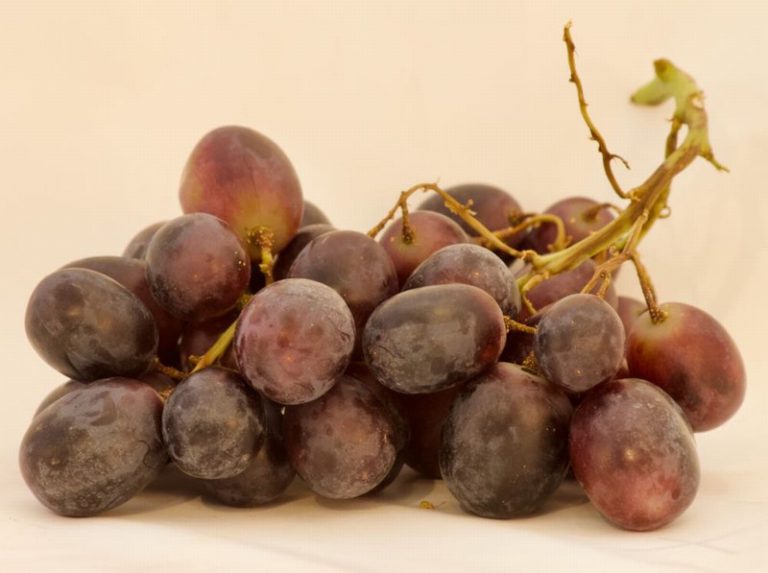 500G BLACK GRAPES - Over Farm Market